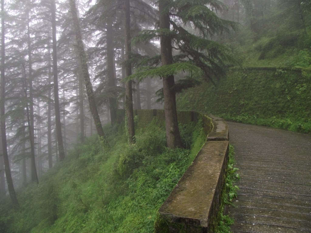 A Year in India: Landour Language School