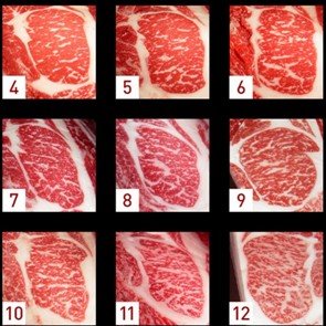 Mike's Specialty Services