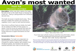 Wheatbelt biodiversity: Wheatbelt Biodiversity-Fauna
