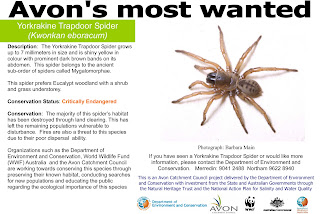 Wheatbelt biodiversity: Wheatbelt Biodiversity-Fauna