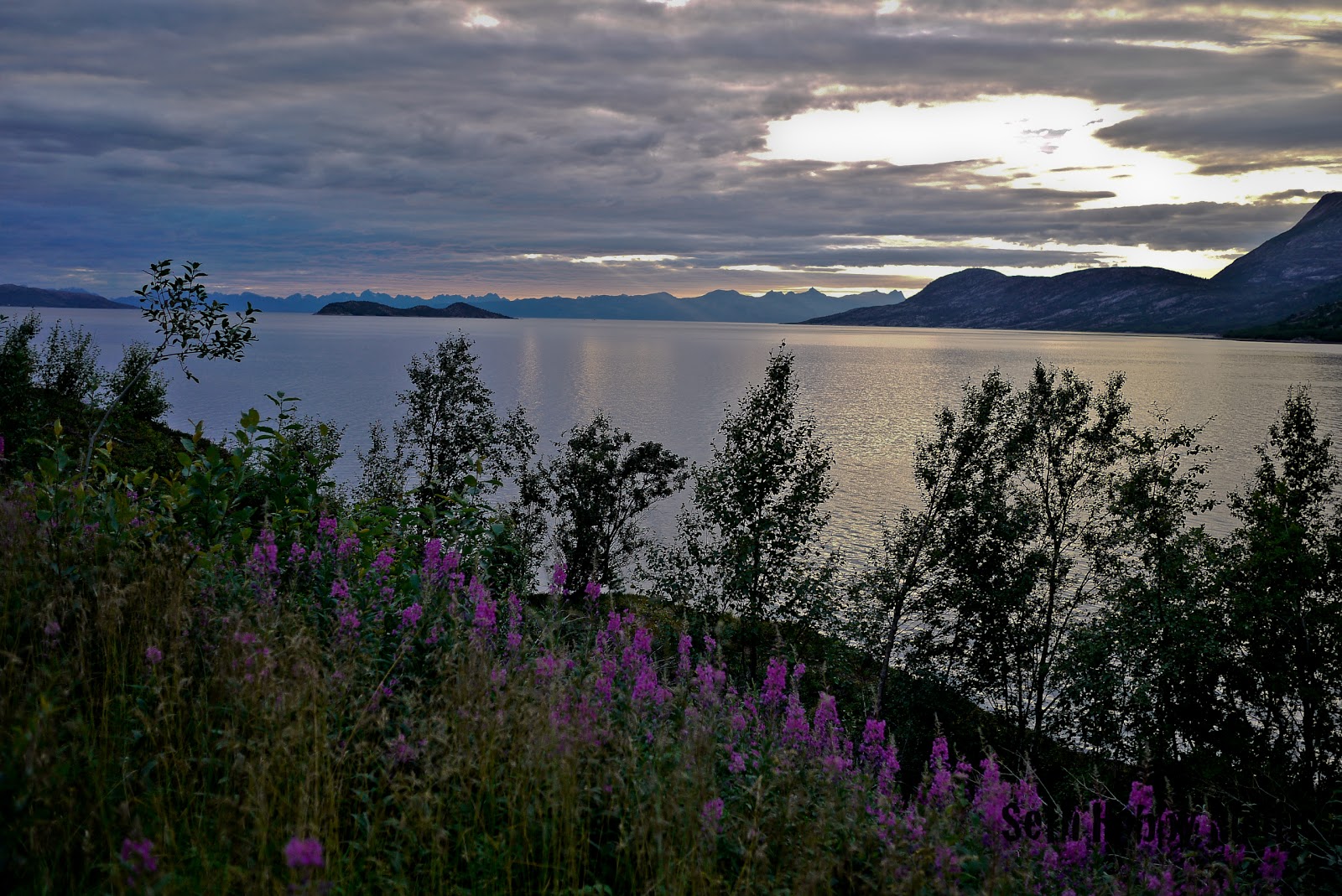 Northern Alpine Guides: Stetind Sydpillaren, Guiding the South Pillar ...