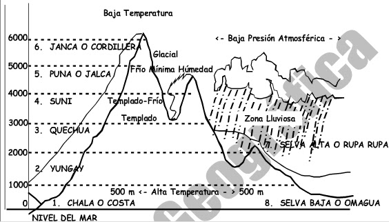 LAS 8 REGIONES NATURALES DEL PERÚ