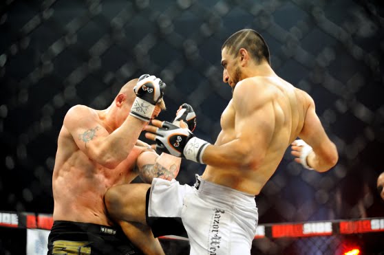 Timothy Bourque Photography