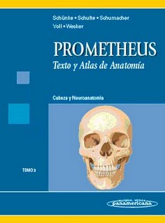 Blog de Carlo: Anatomía - Prometheus