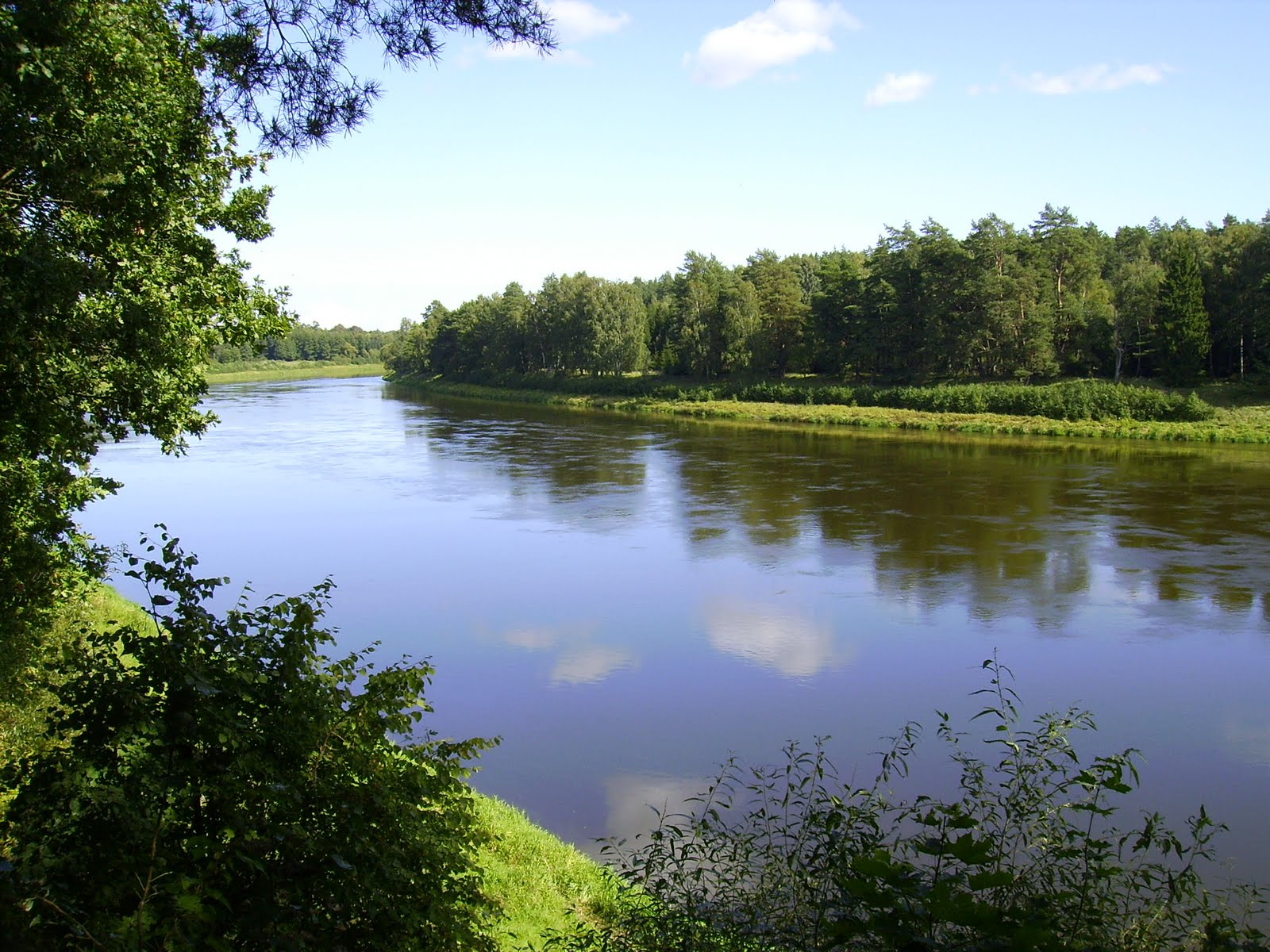 Pelėdos uoksas: KODĖL NEMUNAS?
