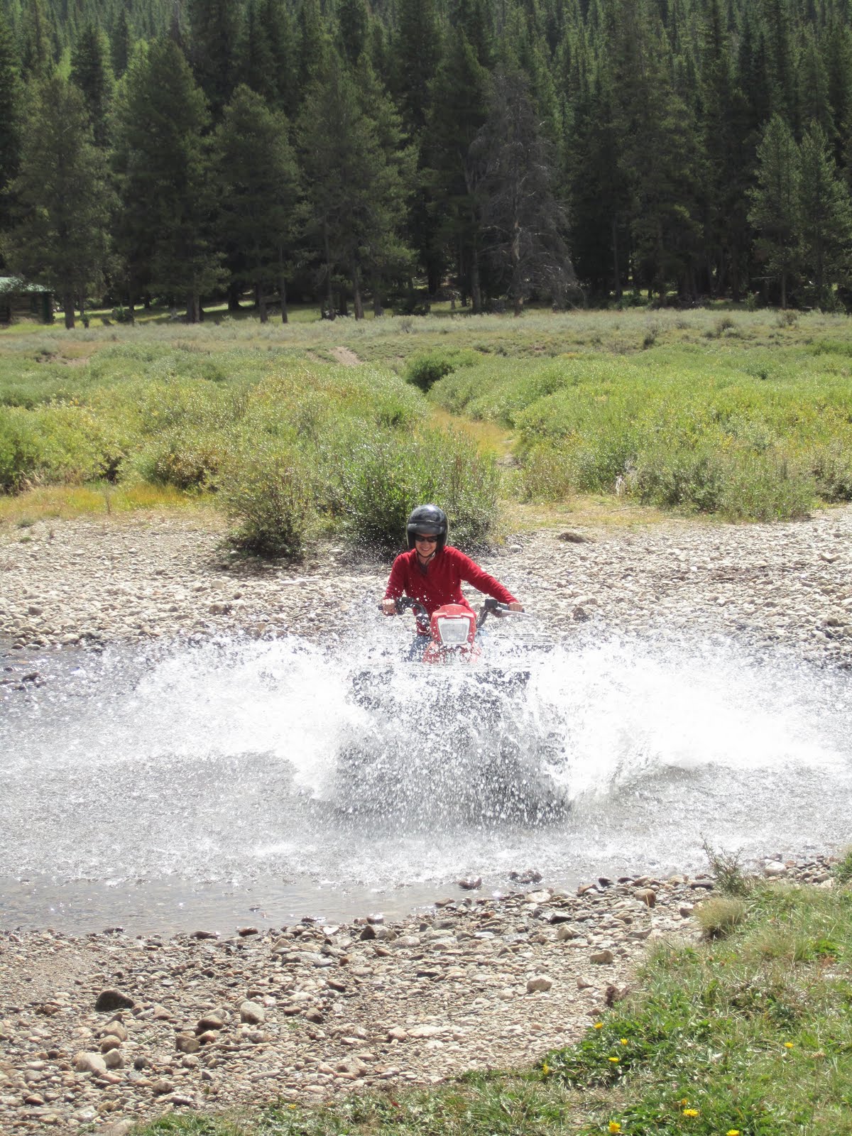 Colorado Cottrells: Taylor Park, CO
