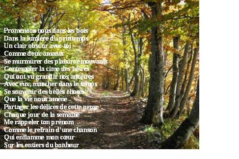 Poésie: En forêt