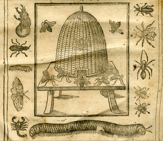 BOOKTRYST: Petrified By Pests? Rare Books To Fuel Your Phobias