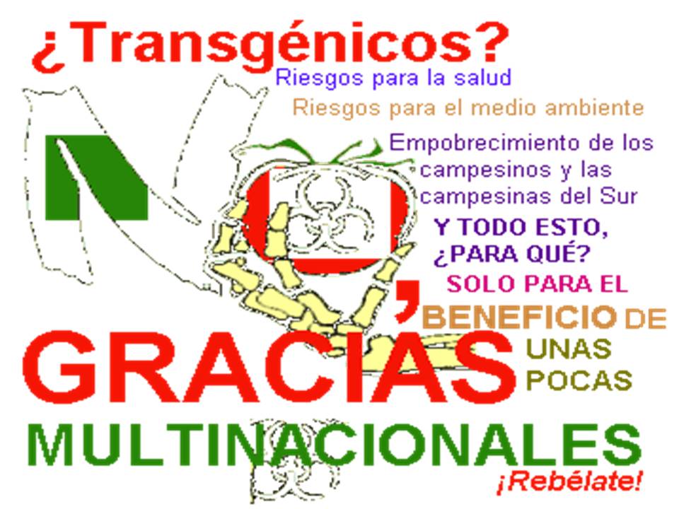 NATURALEZA VERDE DEL LEGOLAS: TRANSGENICOS ¿SON BUENOS?