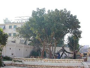 Full of Grace and Truth: The Sunday after Christ's Holy Nativity, and ...