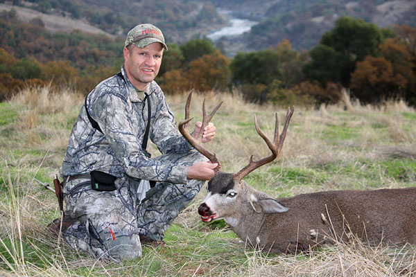 Mogollon Taxidermy: California Blacktail