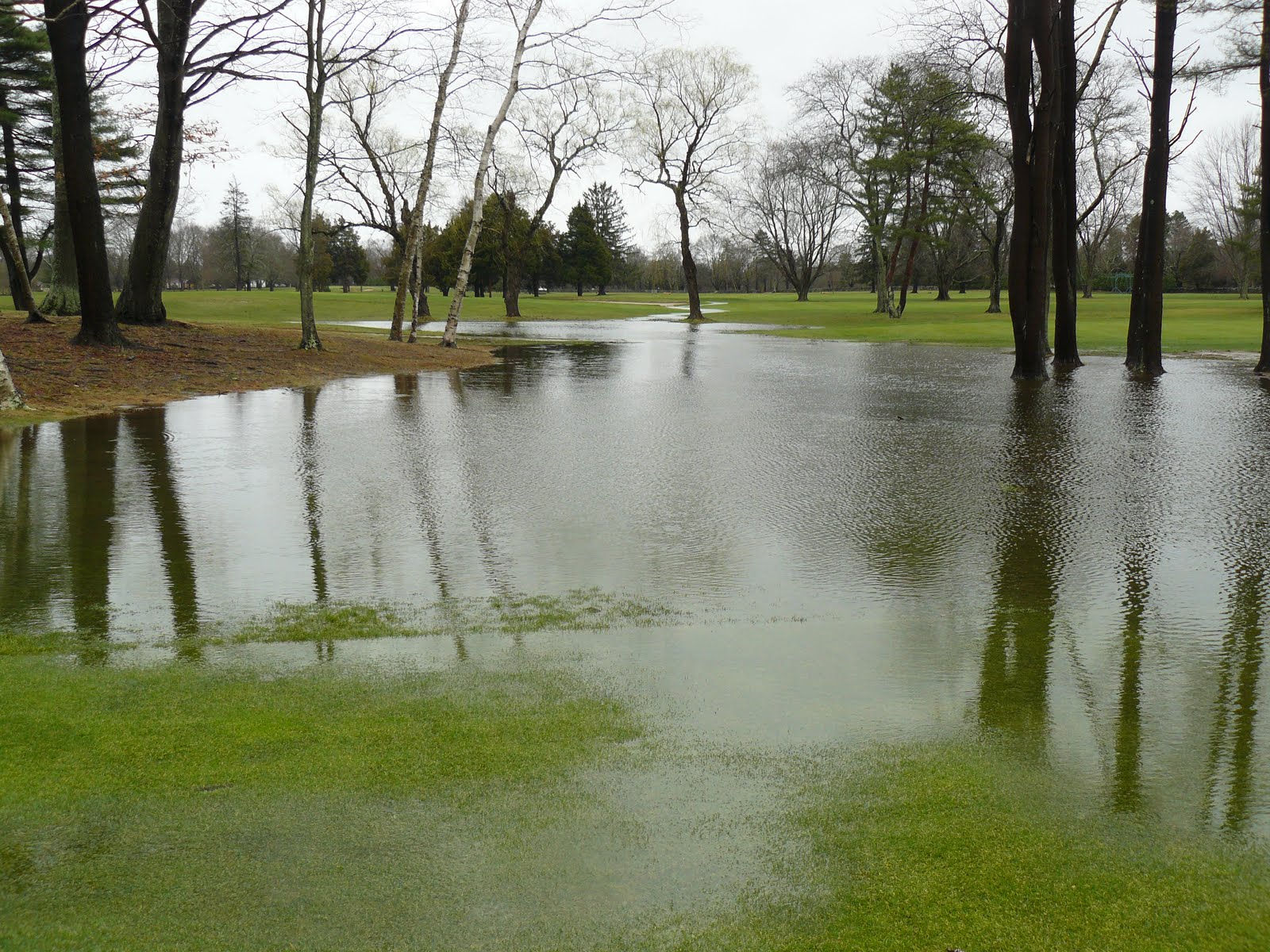Patrick's Golf Course Blog: Flooding pictures