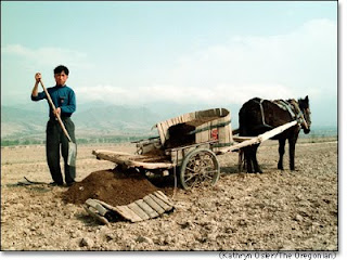 GSR 102: The Setting Sun and the Rolling World by Charles Mungoshi