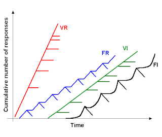 VISION: Psychology: Schedule of reinforcement (Learning)