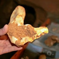 PaleoAnthropo: Extraordinario hallazgo en el Sidrón