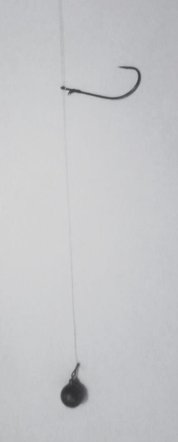 Mike Folkestad ... Bass Fishing Blog: Bass fishing tips; Drop shot basics