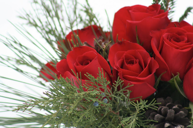 design dump: roses + pine arrangement on the cheap