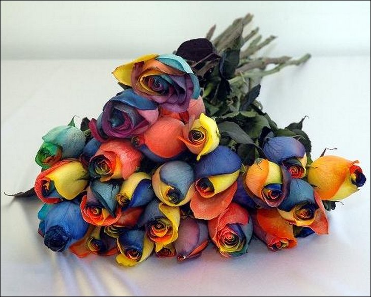 natural: Rainbow Roses: All Colors in One Rose