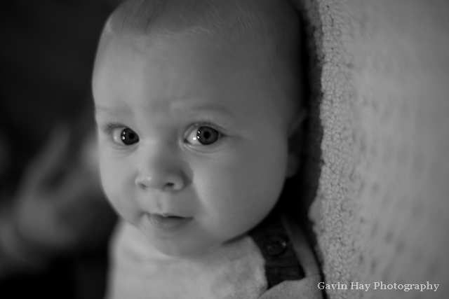 Gavin Hay Photography