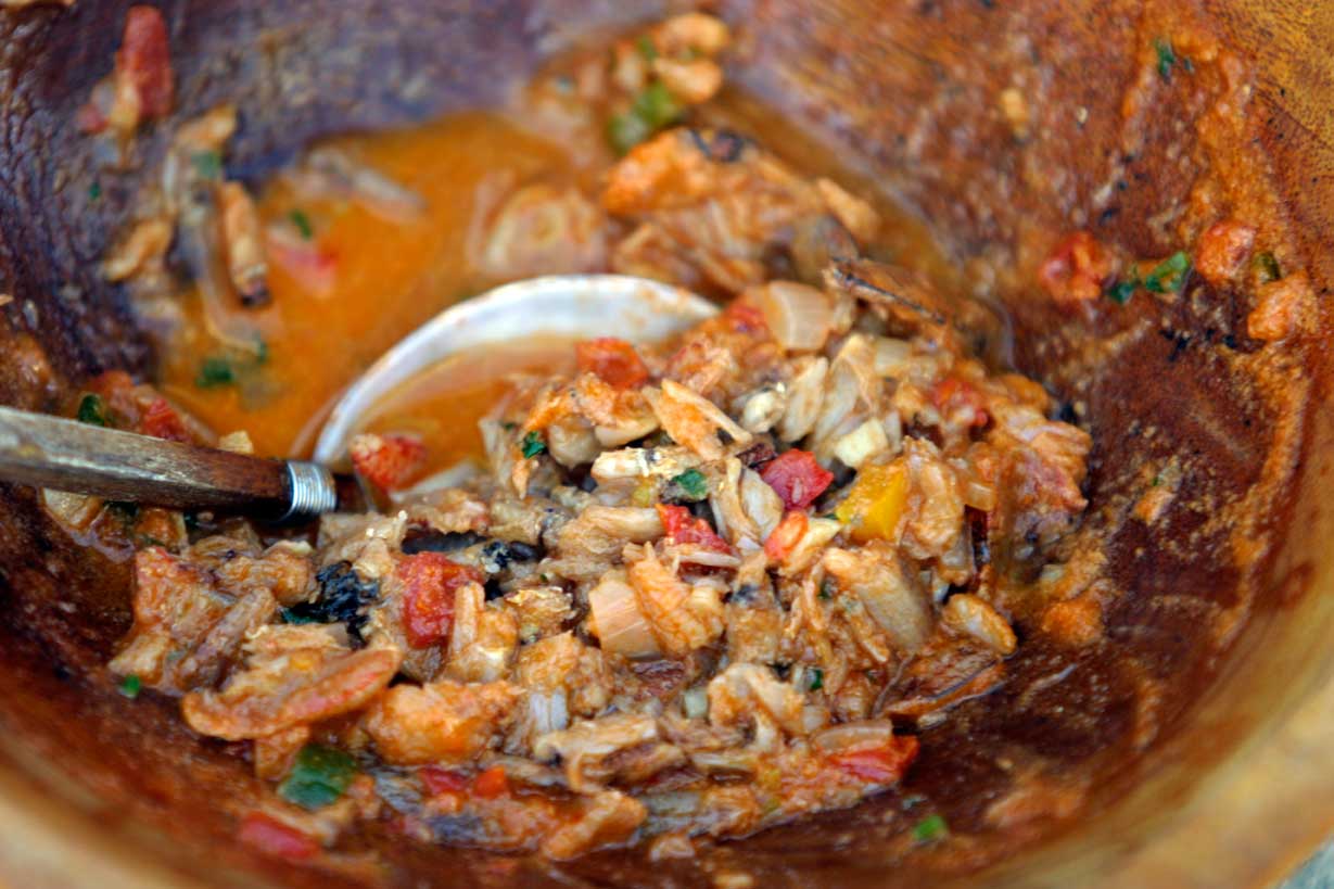 Brazil for Insiders: Porto de Pedras, in Alagoas state: icoaré or...do ...