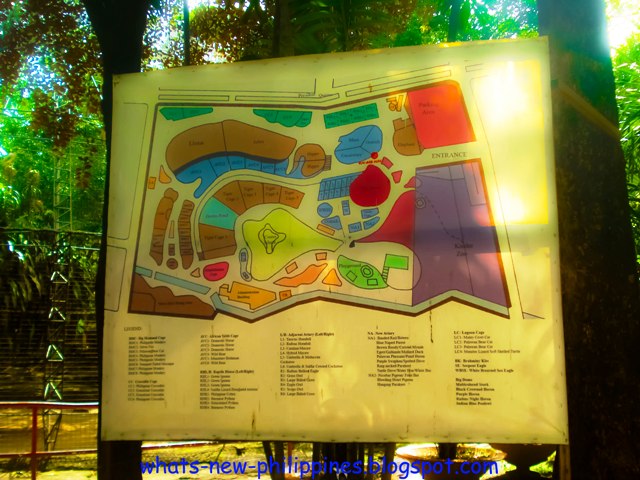 Manila Zoo-Philippines Wildlife ~ What's New Philippines?