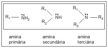 Química - Prof. Paulo Silva: AMINAS