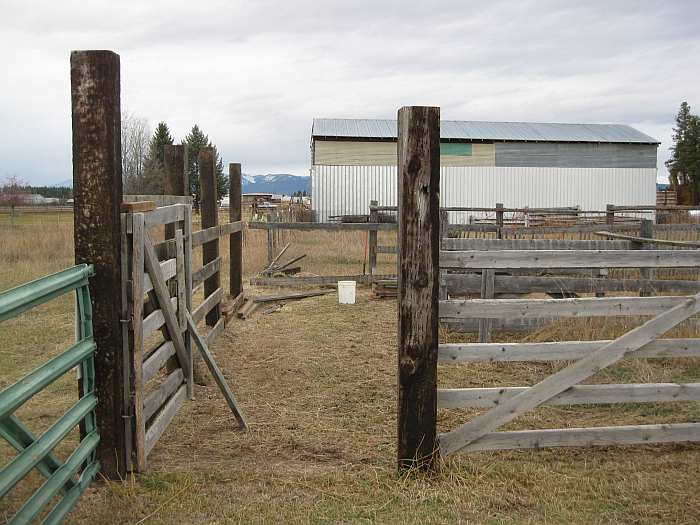 Life among the Tall Pines: West side corral, corner