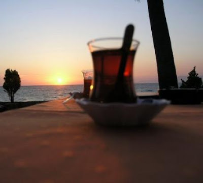 İSTANBUL'DAN BİLBAO'YA KIYI BOYUNCA GELDİM: Türk çayı / Té turco. Día 27