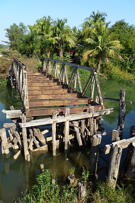 Camera Trap Codger: February 2011