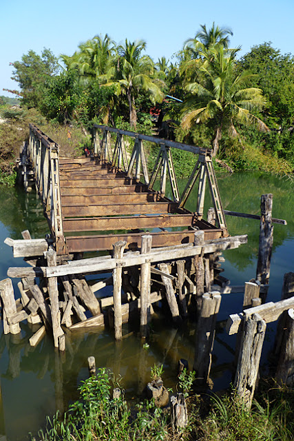 Camera Trap Codger: February 2011