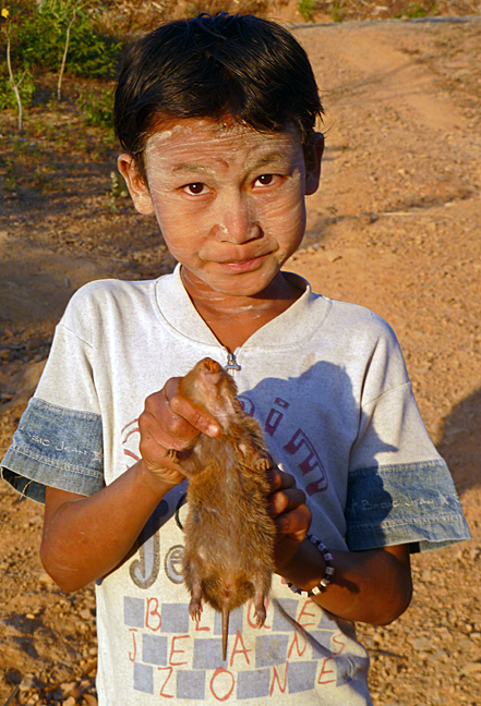 Camera Trap Codger: February 2011