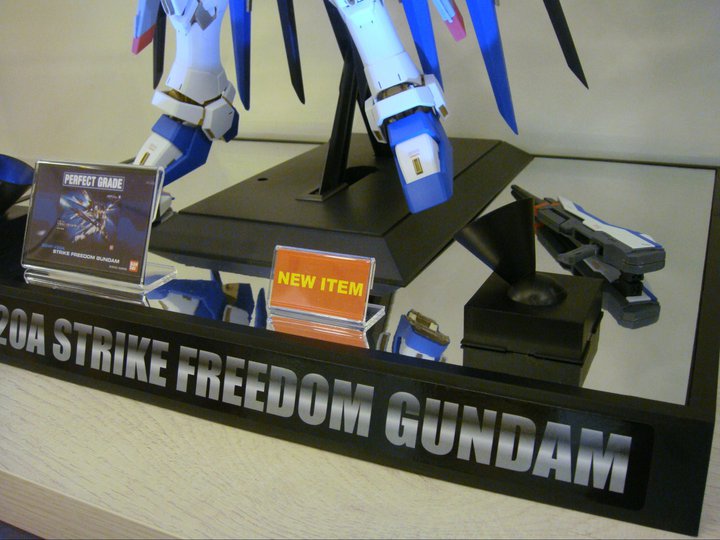 GUNDAM GUY: PG 1/60 Strike Freedom Gundam (With Special LED Display ...