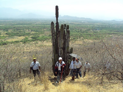 chulucanas-perù: RESTOS ARQUEOLOGICOS