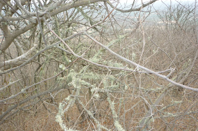 chulucanas-perù: RESTOS ARQUEOLOGICOS