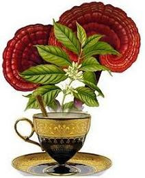 CAFÉ, ENERGIA Y SALUD: CAFE ORGANO GOLD 100% ORGANICO GANODERMA