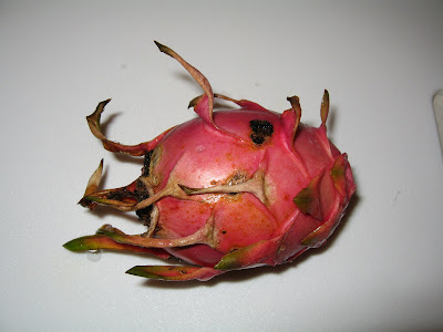 My Rare Fruit Photo Blog: 2007