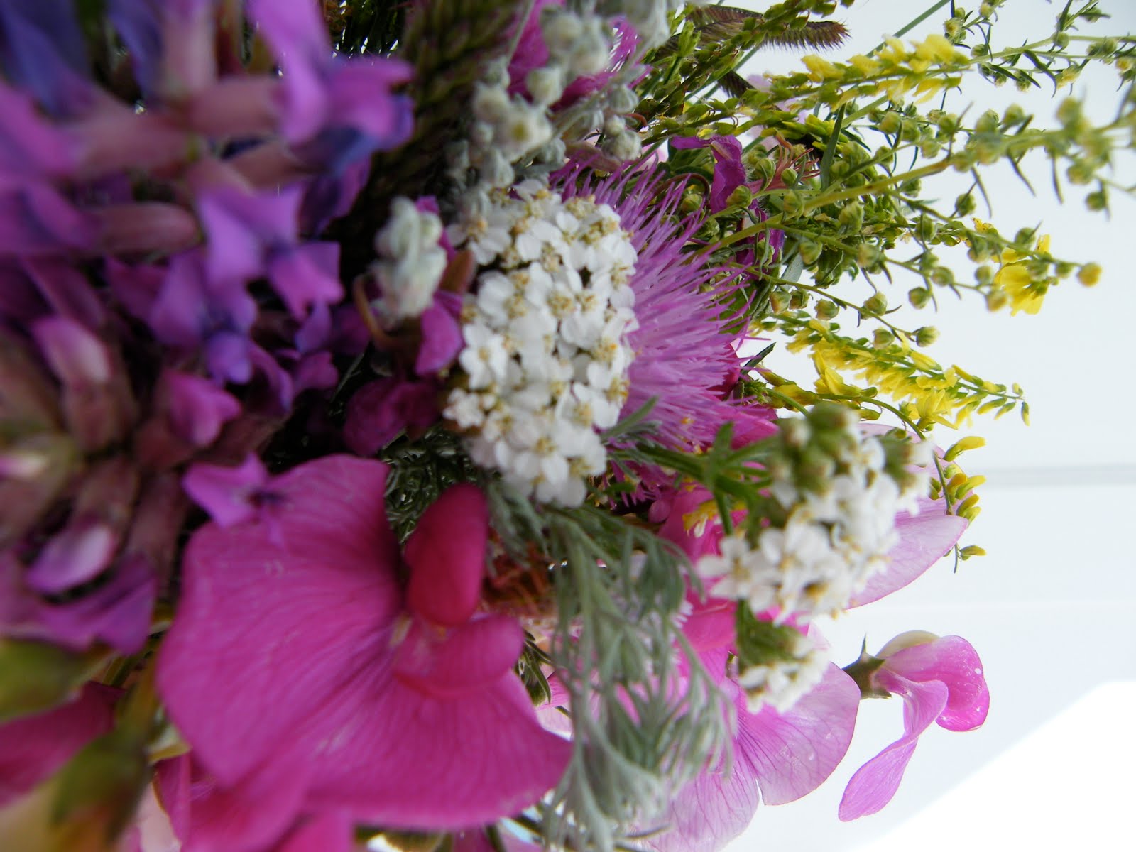 P O T A G E R: Tussie-Mussies and Southern Living