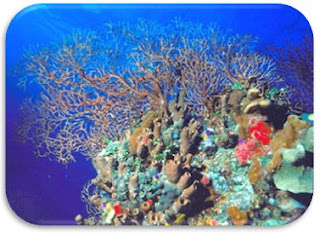 Xanthe's Online Travel Diary x: Brazil-----> Beize..... FT 6 Hours, 45 ...