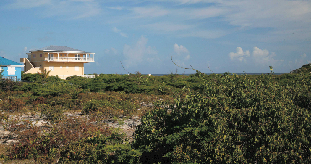 Salt Cay Real Estate