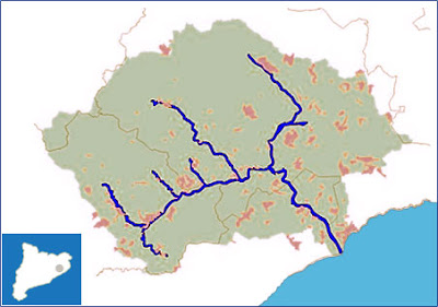 La Natura a la Baixa Tordera: 2009-11-15