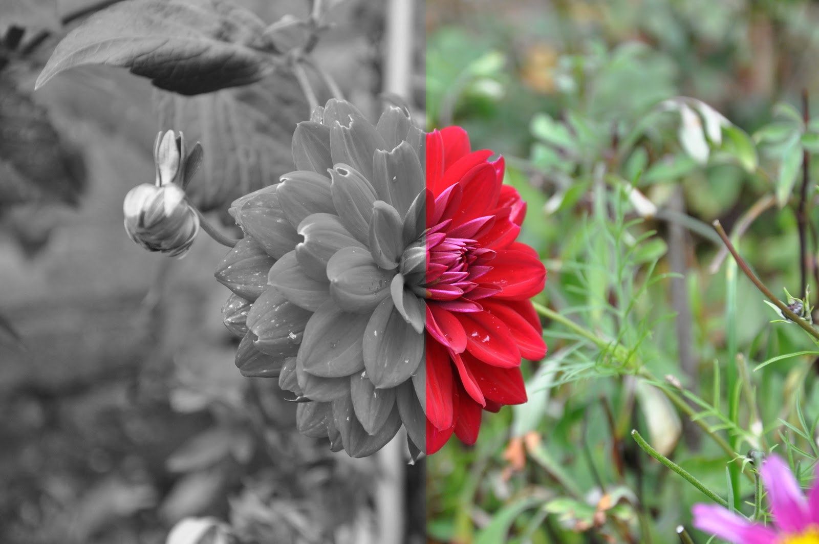 Photography Blog Photo Shop Task Photography Blog Photo Shop Task