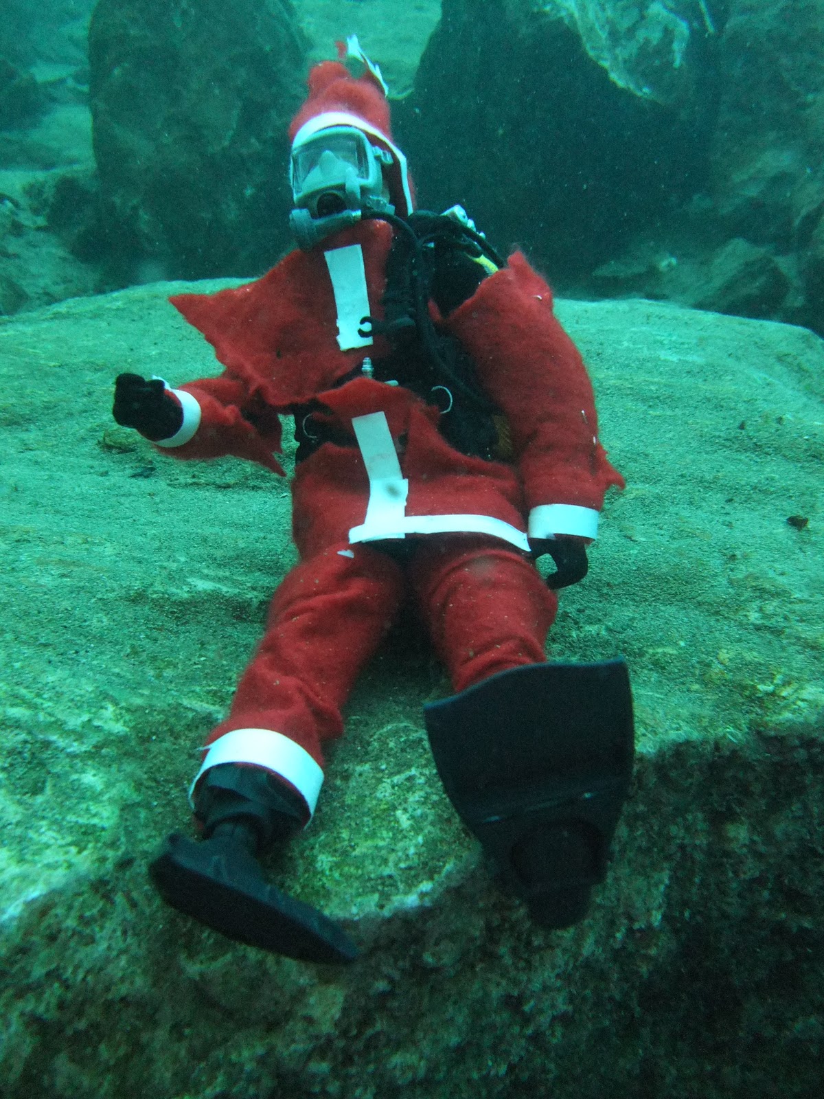 Adventures of Scuba Steve