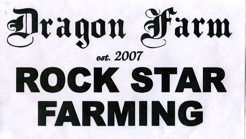 Youth Food Action Project: Farming Dragons