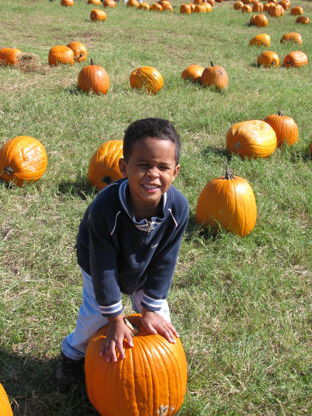 Inside the M&M: Halloween is OVER