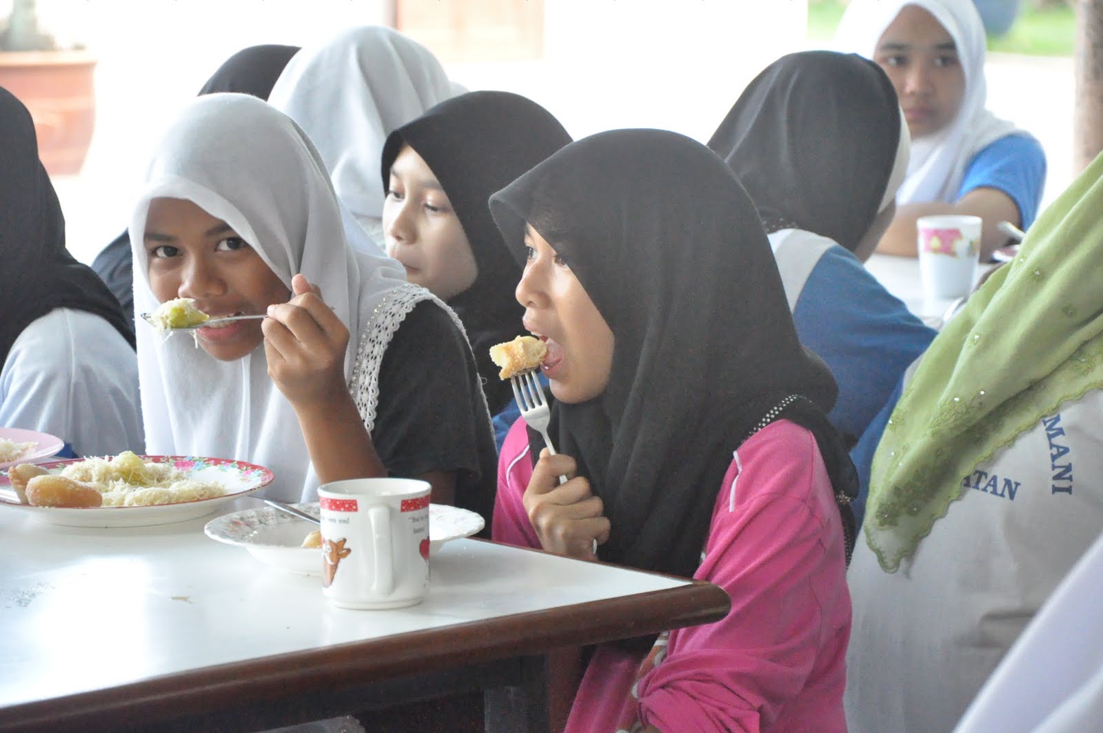 SEKOLAH KEBANGSAAN SENALING: PERKEMAHAN SK SENALING 2010