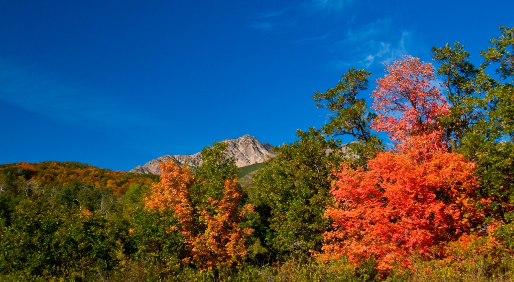 Utah Fall Color Watch: Ogden Fall Workshop Sept. 18th