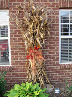 Living in Lexington: Fodder shock's in Lexington!