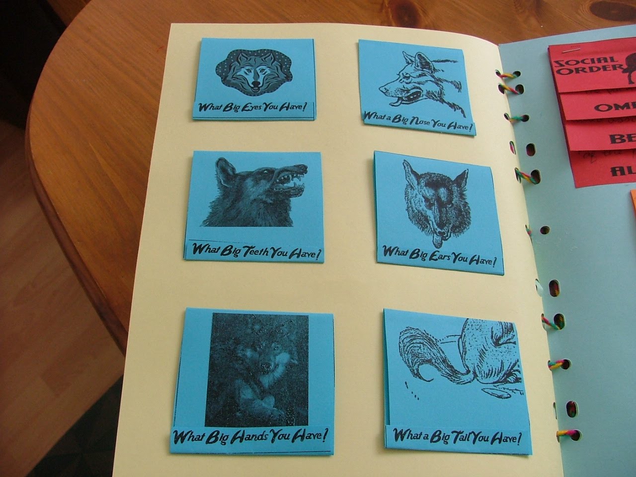 Have Fun - Live Life: Wild Dogs Lapbook/Notebook