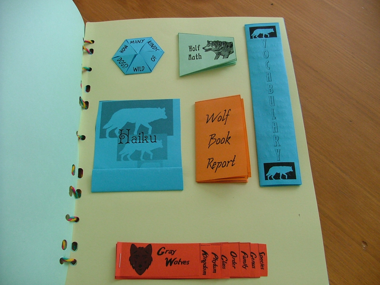 Have Fun - Live Life: Wild Dogs Lapbook/Notebook