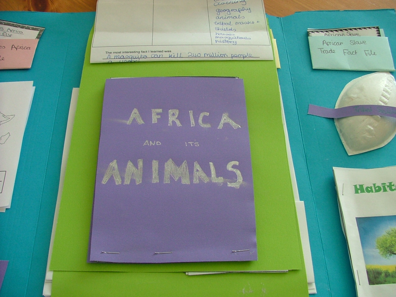 Have Fun - Live Life: African Lapbook and not a mention of football ;o)